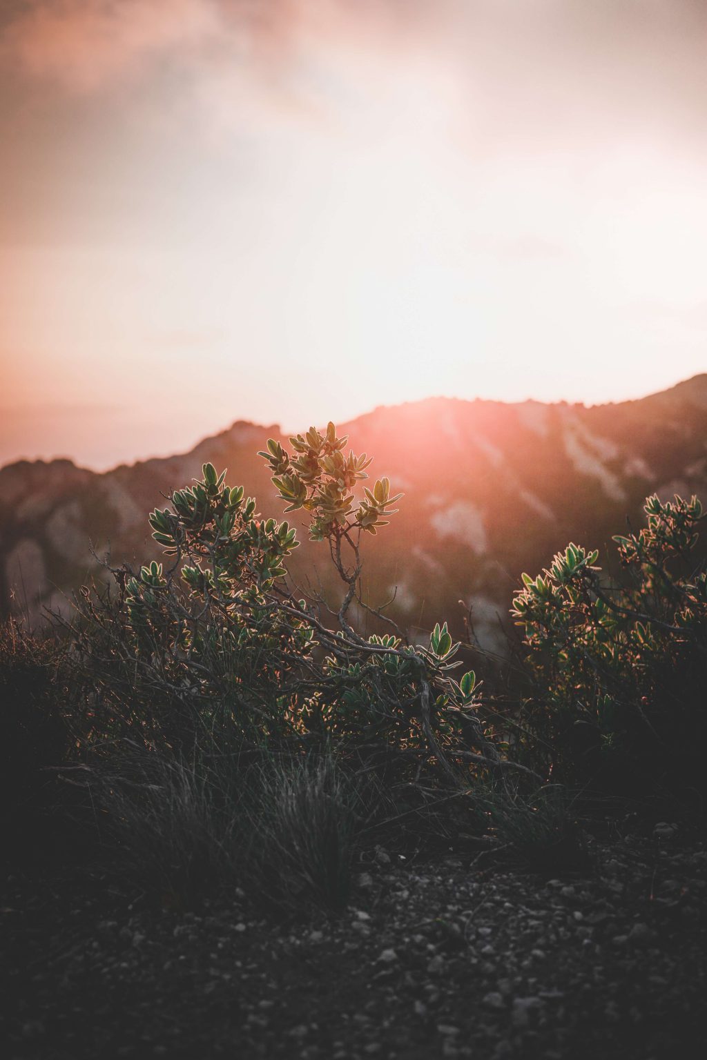 A Quranic Guide to New Muslim Loneliness – Welcome to TIC: Torbay ...